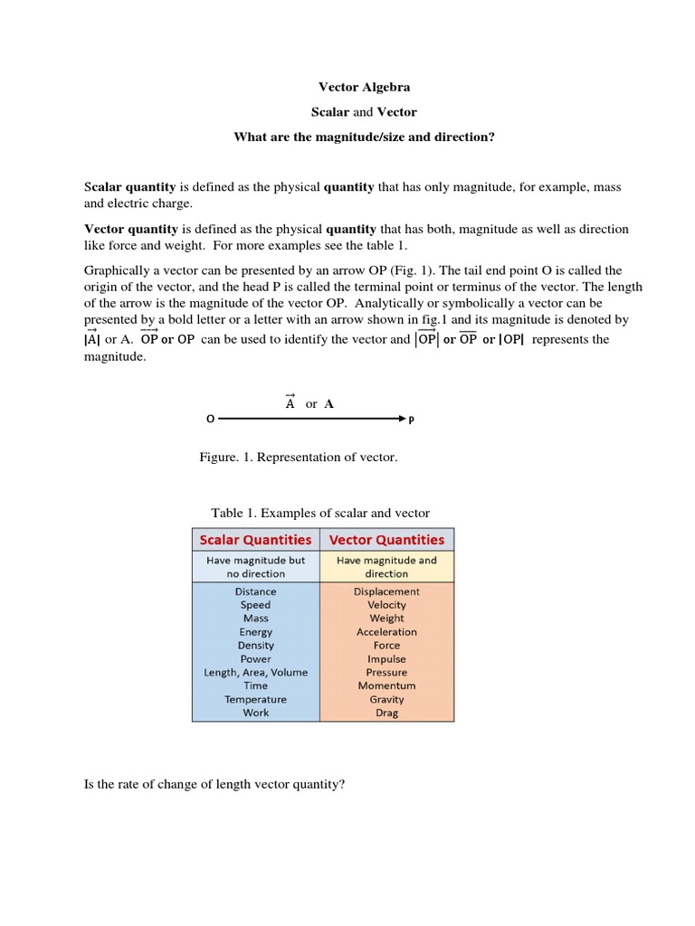 Vector Algebra: Magnitude and Direction | PDF | Euclidean Vector | Gradient
