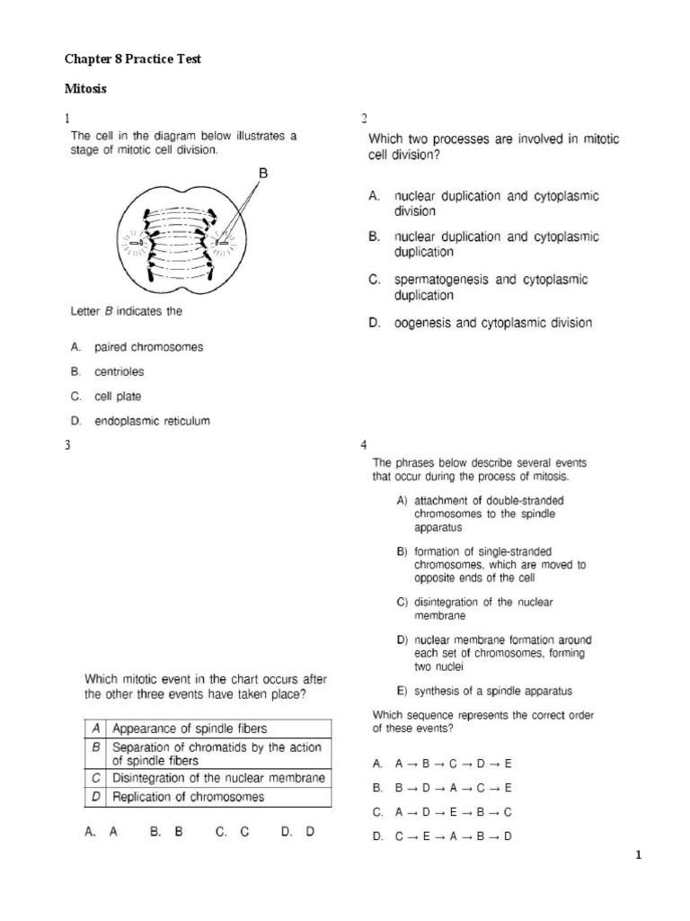 Mitosis and Meiosis Exam | PDF | Meiosis | Chromosome