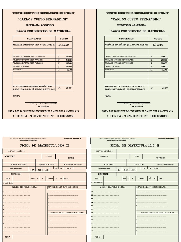 Pagos y Matrícula IESTP Carlos Cueto | PDF