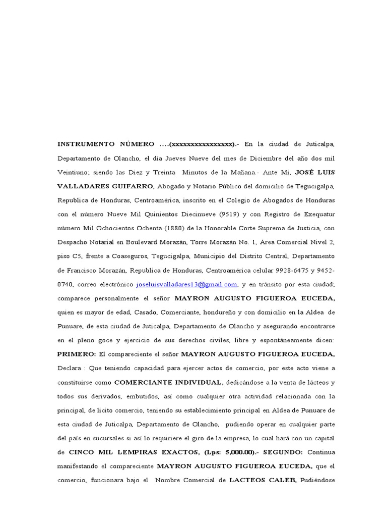 COMERCIANTE INDIVIDUAL MAYRON | PDF | Honduras | Justicia