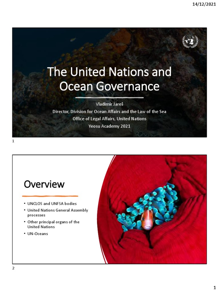 The Role of the United Nations in Ocean Governance: An Overview of Key ...