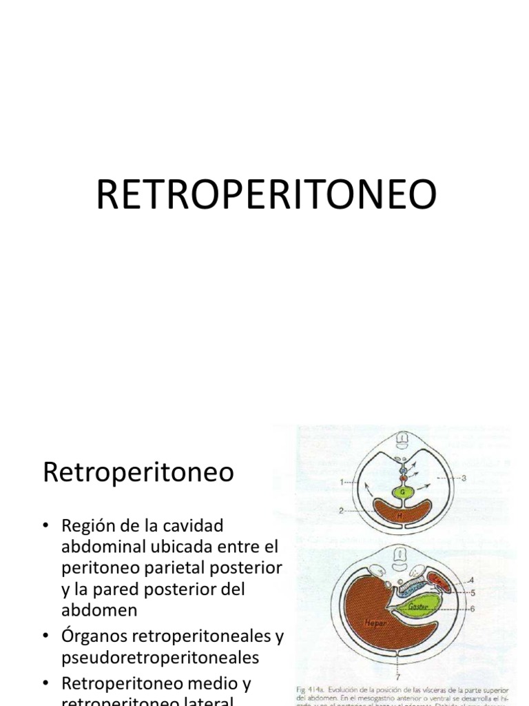 RETROPERITONEO | PDF