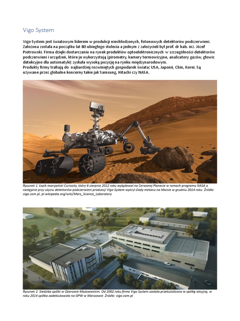 Vigo System Analiza | PDF