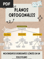 Diagrama de Posselt en Oclusión | PDF | Sistema musculoesquelético ...