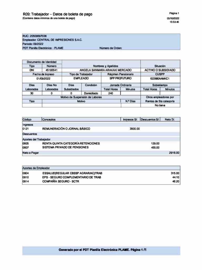 R09: Trabajador - Datos de Boleta de Pago: Empleador: Central de Impresiones S.A.C. Periodo: 09/ ...