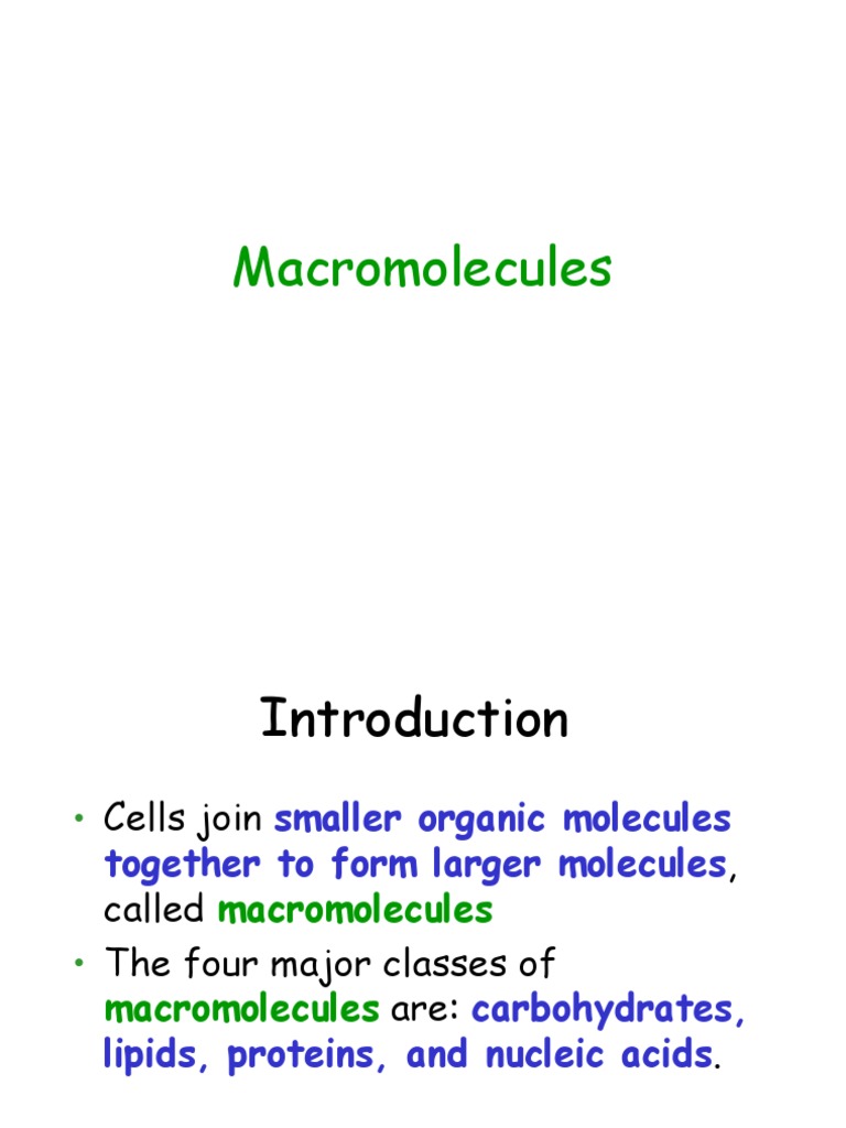 Day 04 - Macromolecules (Carbohydrates) | PDF | Carbohydrates ...
