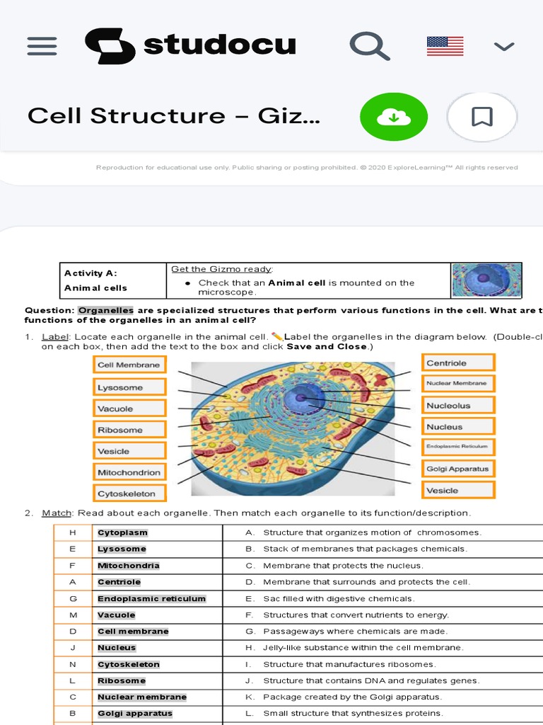 Cell Structure - Giz | PDF
