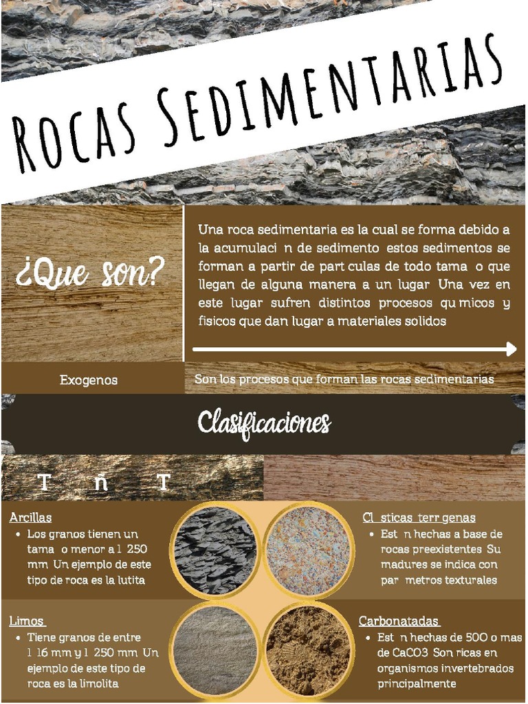 Rocas Sedimentarias | PDF