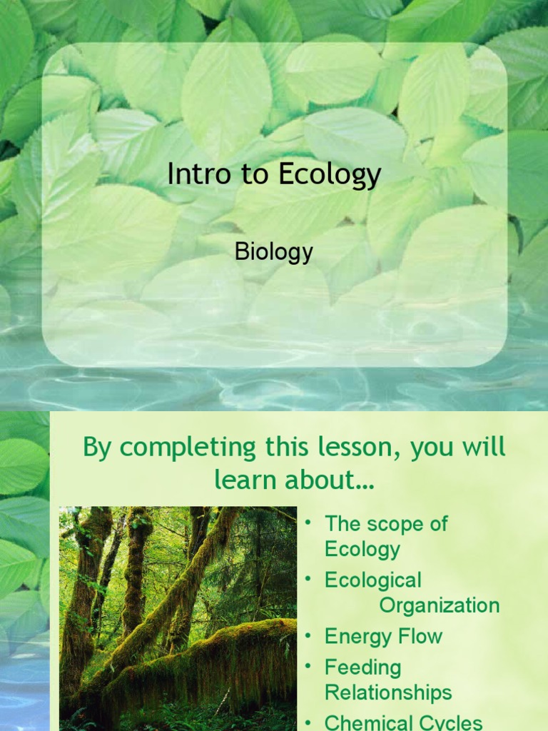 Intro To Ecology | Download Free PDF | Food Web | Ecology