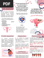 Presentacion Renoxi | PDF | Medicina | Perú