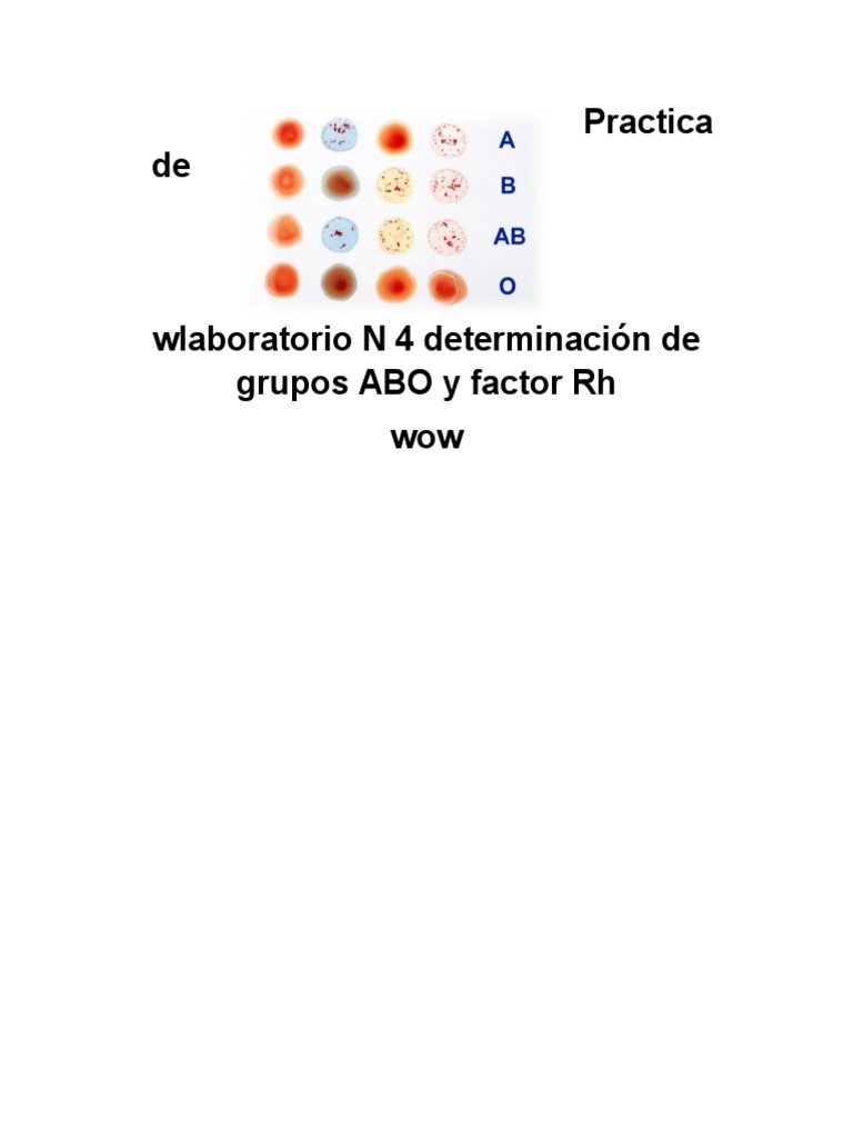 Practica de Laboratorio N 4 Determinación de Grupos ABO y Factor RH ...