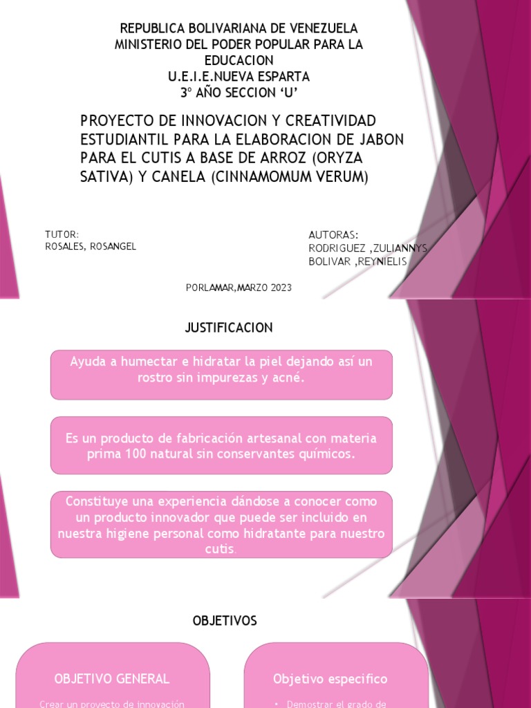 Proyecto | PDF