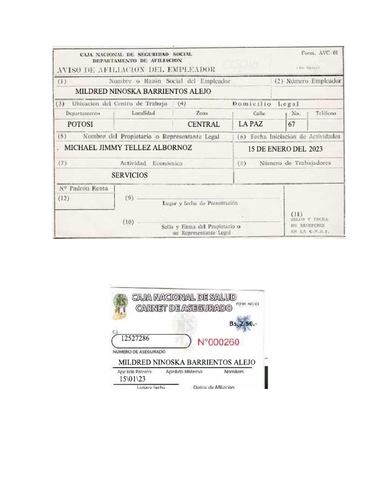 Form AVC-01 | PDF