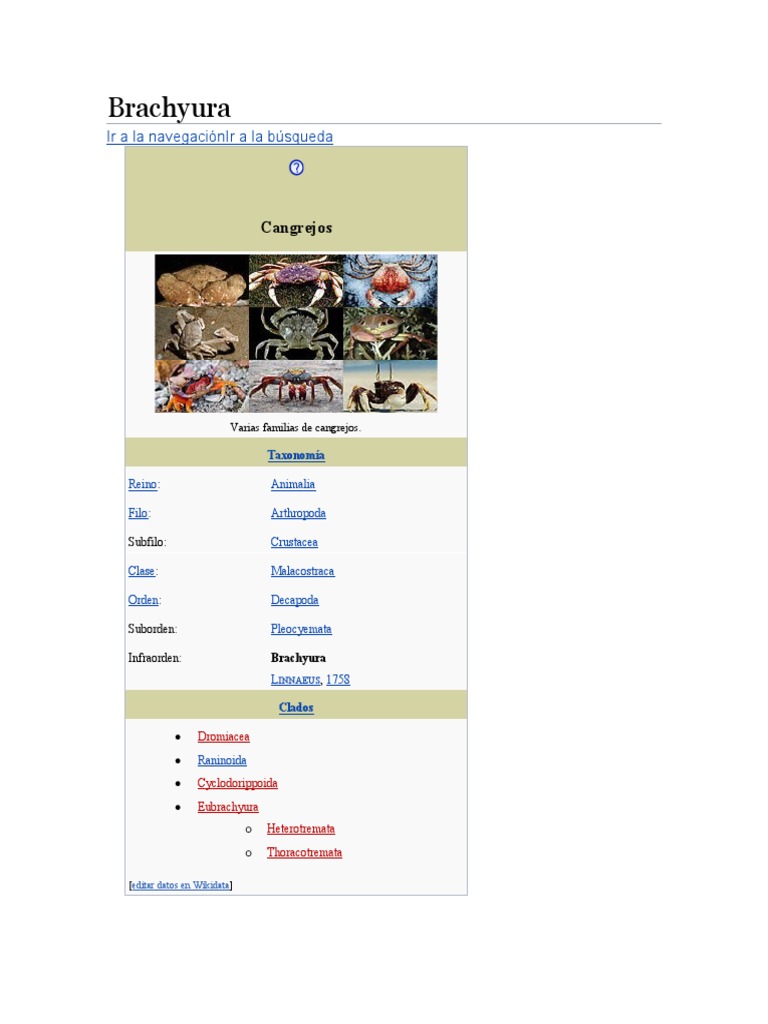 Brachyura | PDF | Cangrejo