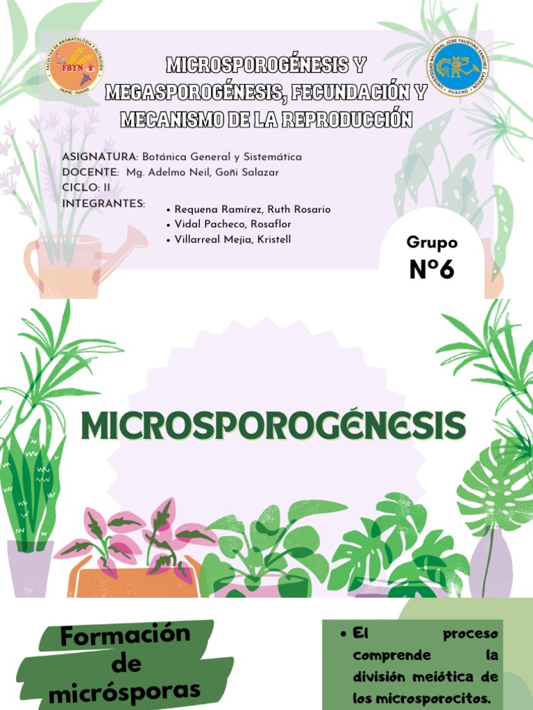 Microsporogenesis y Megasporogenesis, Fecundación y Mecanismo de La ...