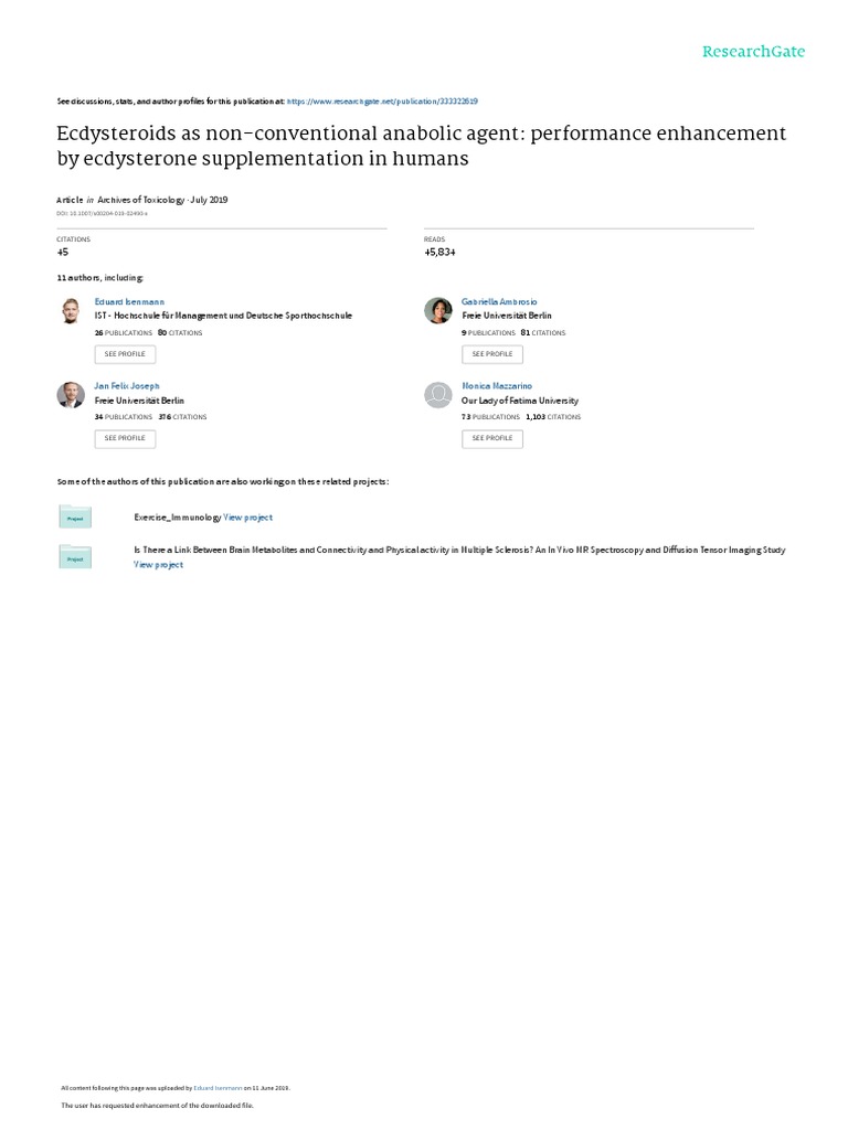 Isenmann Et Al-2019-Archives of Toxicology | PDF