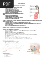 Musculos Del Velo Del Paladar | PDF | Tejido suave | Sistema ...