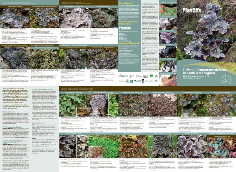 2022 South West Lobarion Lichen Guide | PDF | Trees | Eukaryotes