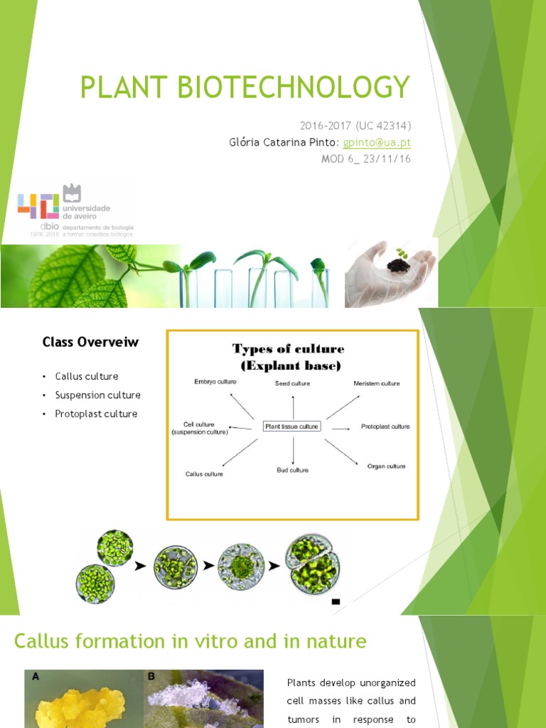 Aula 8 | PDF | Hybrid (Biology) | Biochemistry