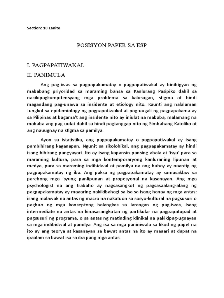 Position Paper Esp | PDF
