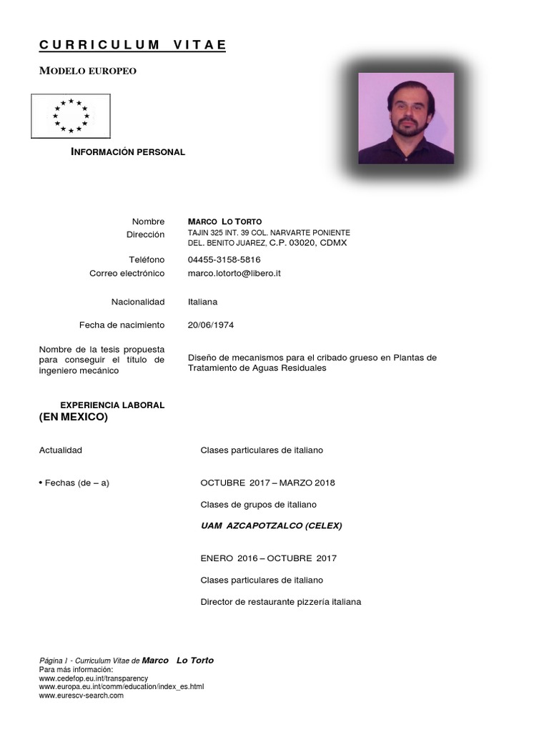 Curriculum Vitae - Marco Lo Torto | PDF