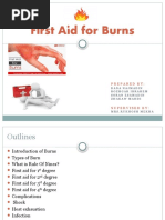 Wallace Rule of Nines for Burn Assessment | PDF | Burn | Intravenous ...