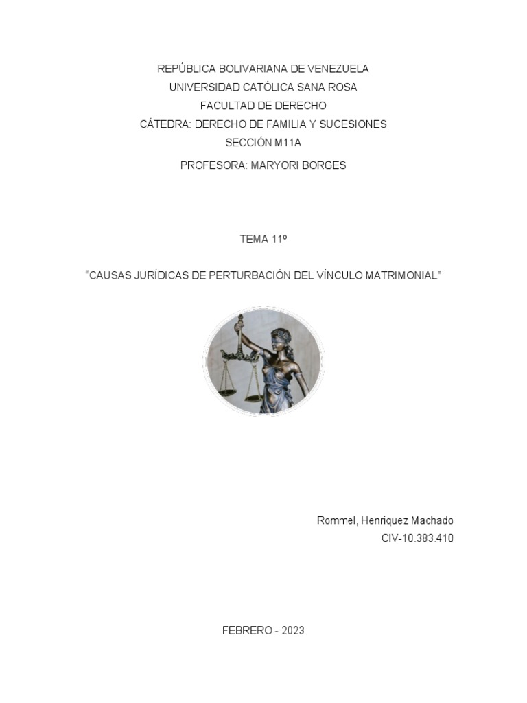 Tema 11 Causas Juridicas de Perturbacion Del Vinculo Matrimonial Rommel Henriquez 08feb2023 ...
