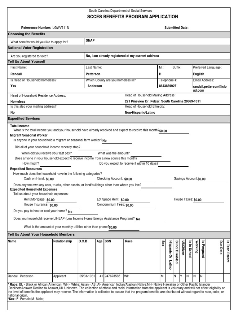 SCCES Application | PDF | Voter Registration | Race And Ethnicity In ...