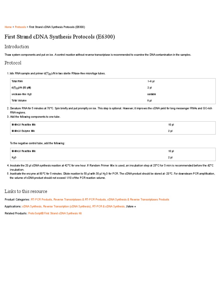 First Strand cDNA Synthesis Protocols (E6300) - NEB | PDF ...
