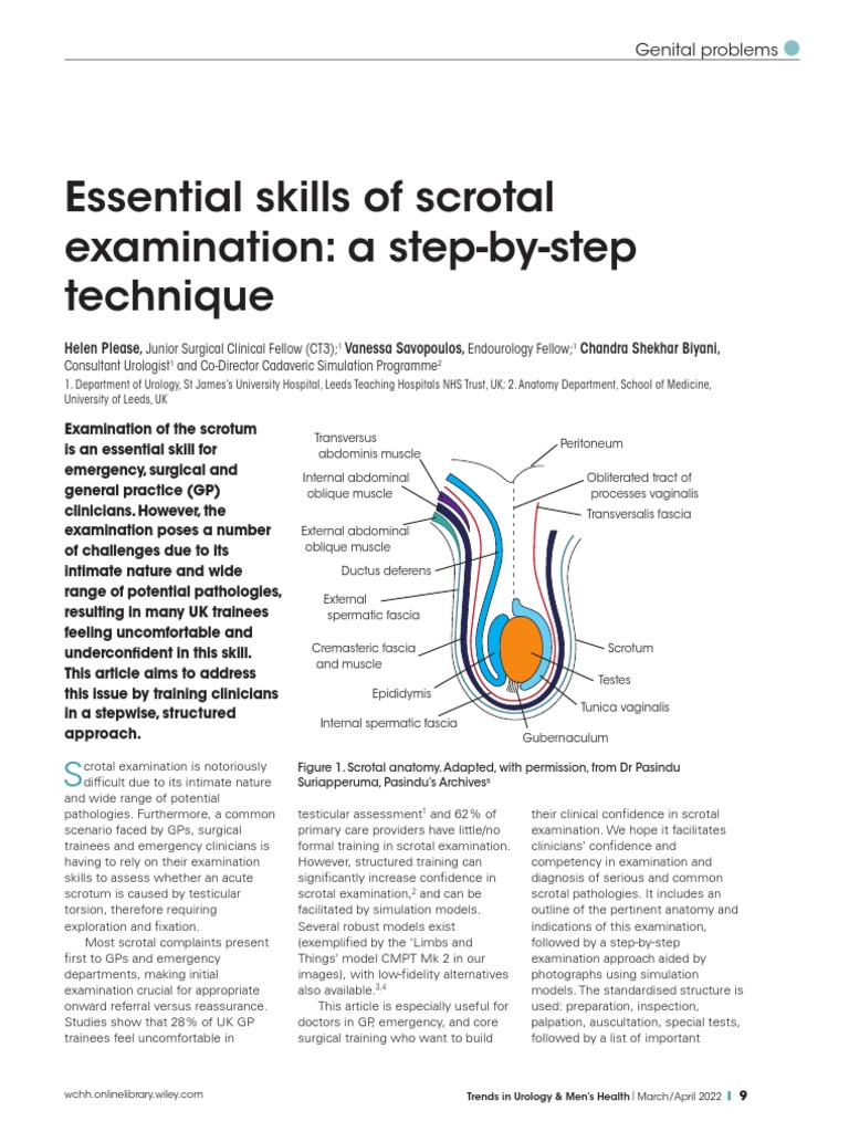 Essential Skills of Scrotal Examination: A Step-By-Step Technique | PDF ...