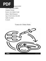 05 Tejidos Epiteliales III Especializaciones Del Dominio Basolateral ...