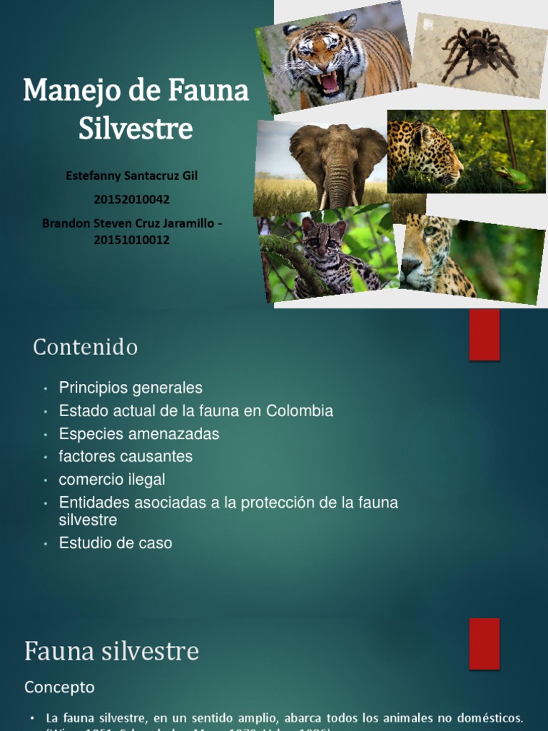 Manejo de Fauna Final | PDF | Fauna | Organismos