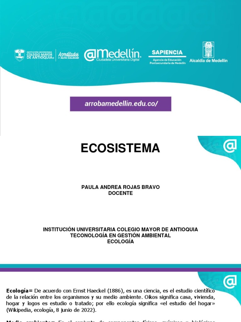 Presentación de Ecosistemas | PDF | Producción primaria | Red alimentaria