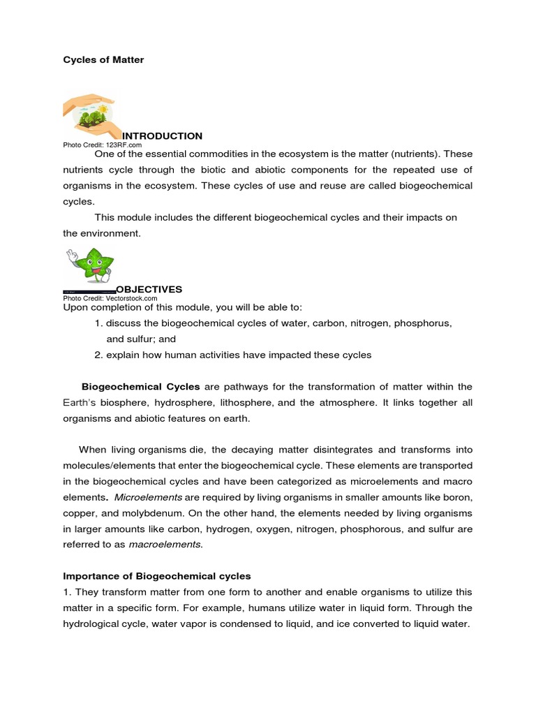Understanding Biogeochemical Cycles | PDF | Ecosystem | Water