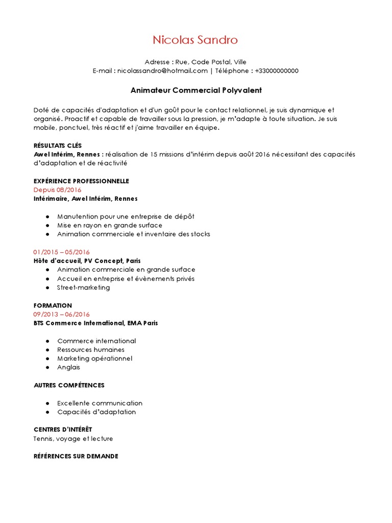 CV Interim | PDF