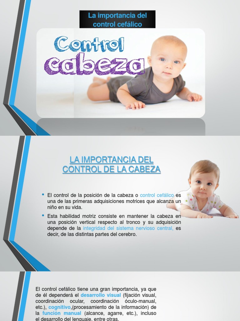 Control cefálico en bebés: etapas clave | PDF | Aquisición de idioma ...