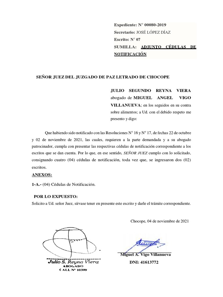 Adjunto Cédulas de Notificación | PDF