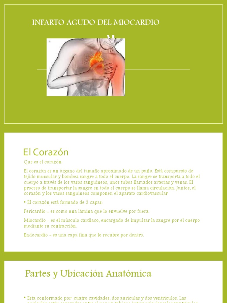 Tipos de Infarto y Anatomía Cardíaca | PDF | Ventrículo (corazón) | Corazón