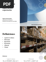 Tesis Guia para Elaborar Pedimentos Clave A1 y RT | PDF | Arancel | aduana
