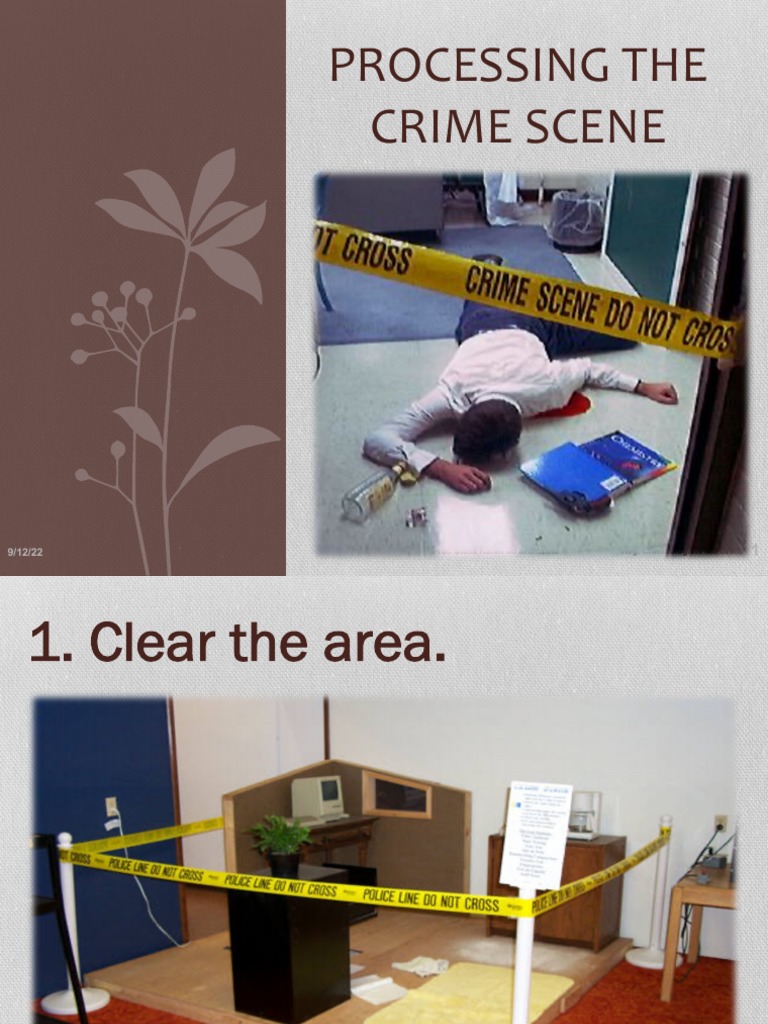Steps in Crime Scene Process | PDF | Crime Scene