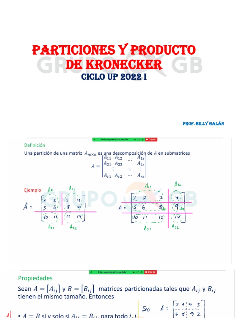 Particiones y Producto de Kronecker | PDF | Matriz (Matemáticas) | Matemáticas