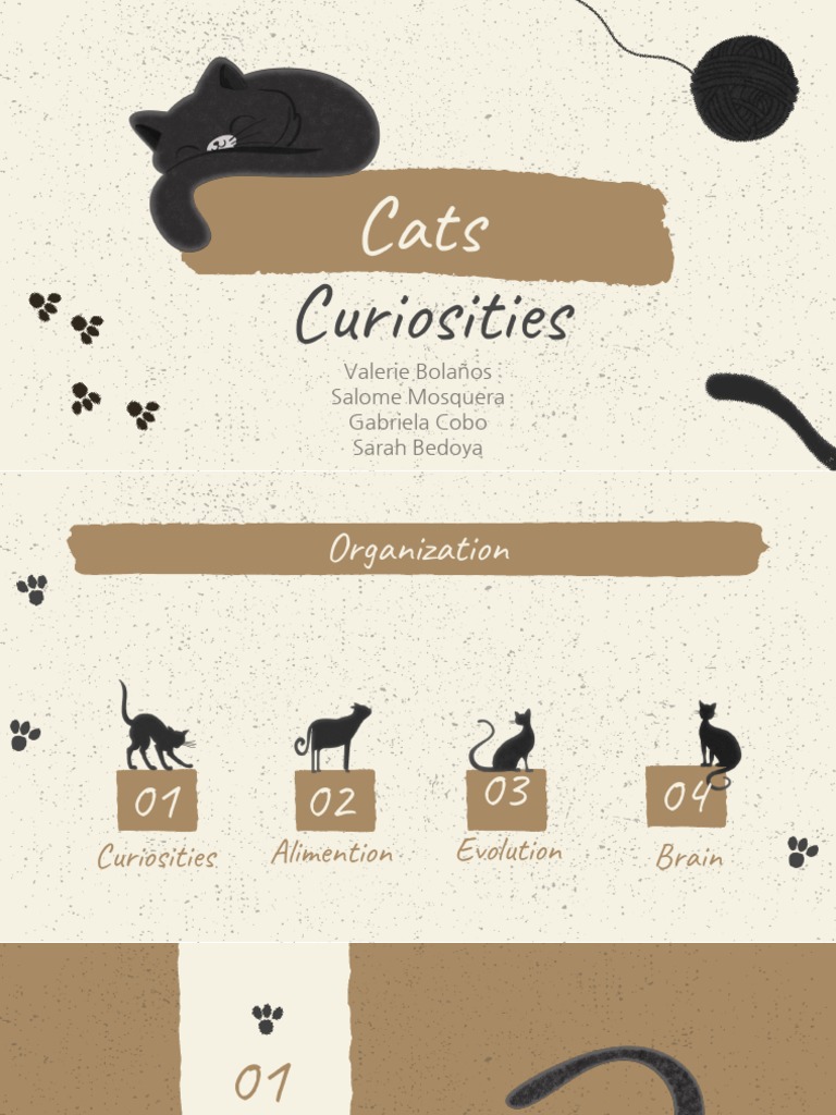 Cat Illustrator Portfolio - by Slidesgo 2.0 | PDF