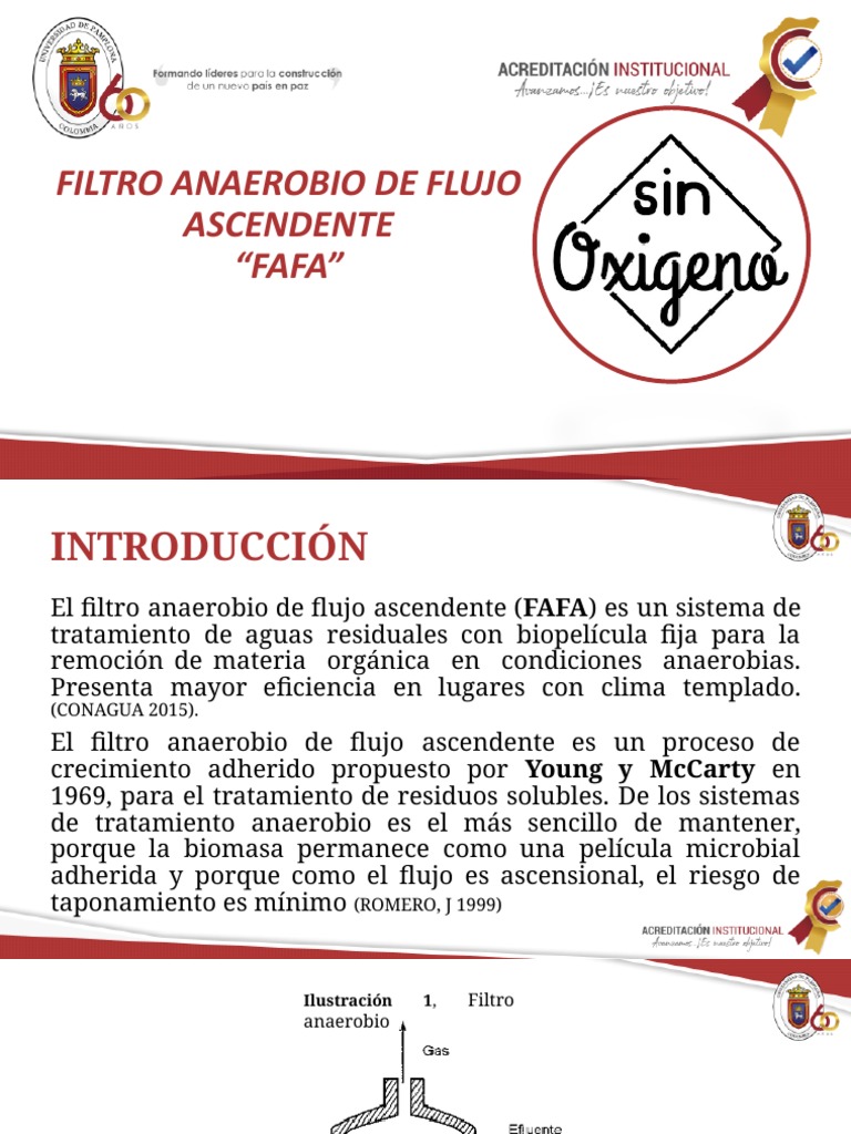 Filtro Anaerobio de Flujo Ascendente FAFA | PDF | Tratamiento de aguas ...