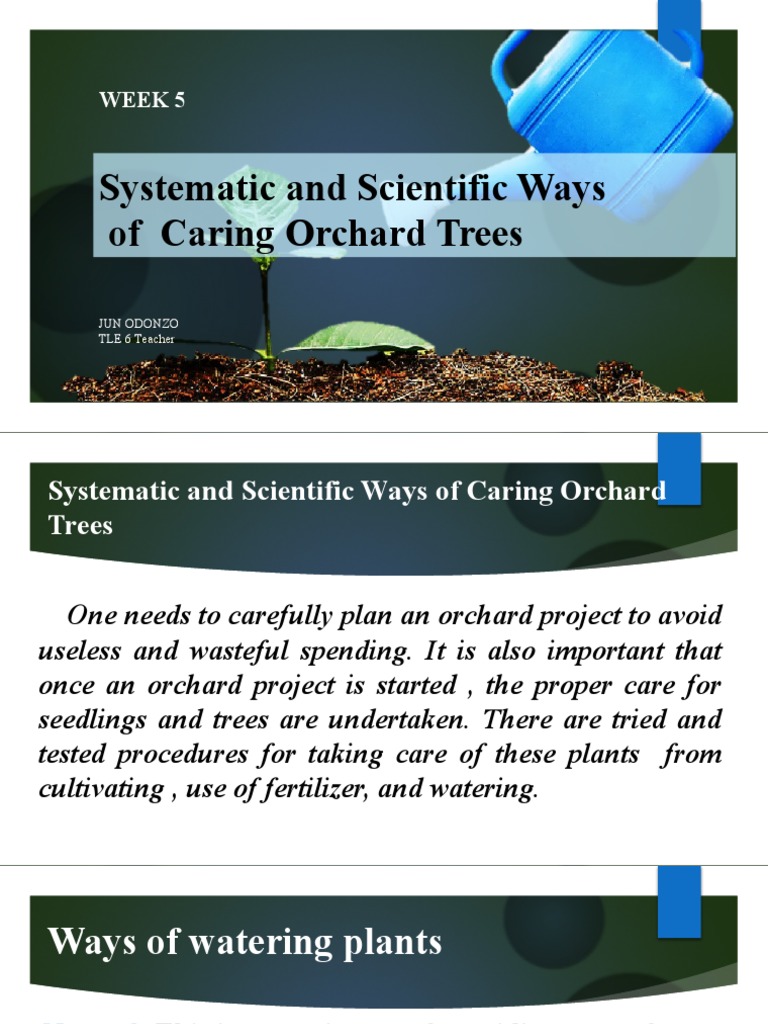 WEEK 5 Systematic and Scientific Ways of Caring Orchard Trees | PDF ...