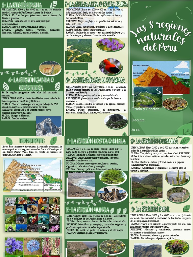 Tríptico - 8 Regiones Naturales Del Perú | PDF | Andes | Perú