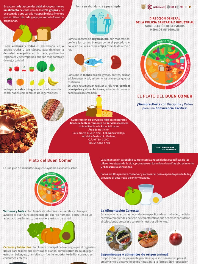 Triptico El Plato Del Buen Comer | PDF Triptico El Plato Del Buen Comer | PDF