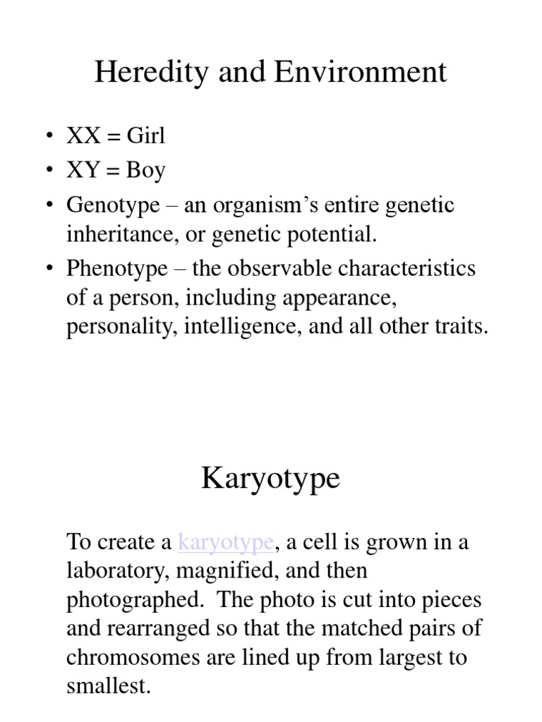 Heredity and Environment | PDF | Twin | Genetics