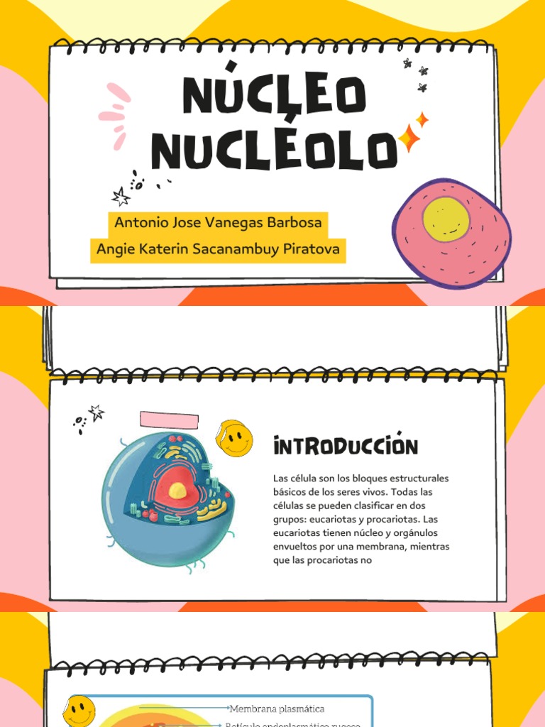 Estructura y Función del Núcleo y Núcleolo | PDF | Nucleo celular ...