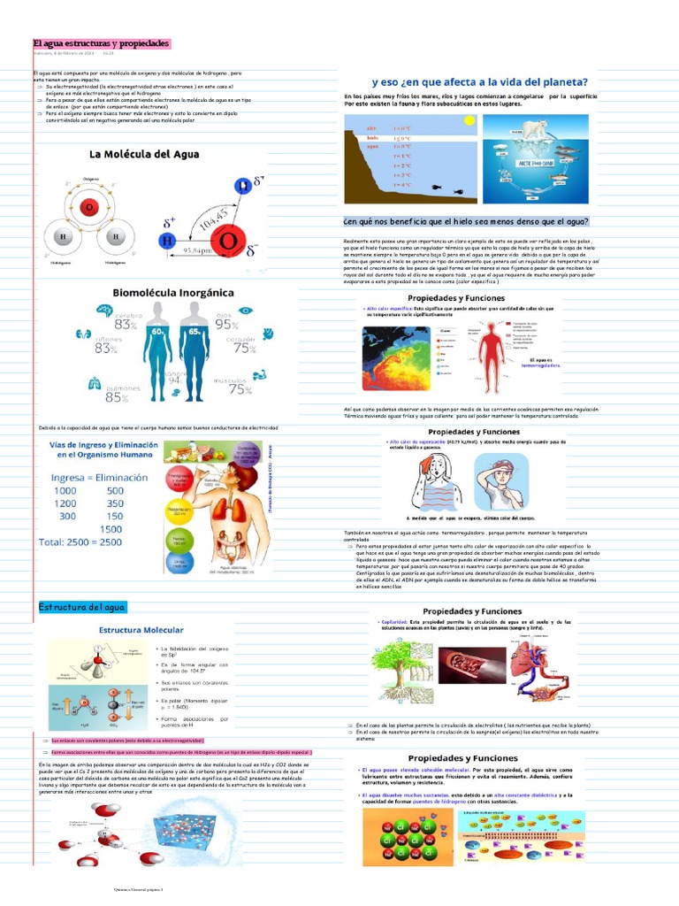 El Agua Estructuras y Propiedades | PDF | Agua | Polaridad química