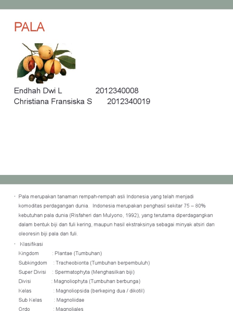 Klasifikasi dan Manfaat Pala | PDF | Memasak, Makanan, & Anggur